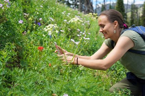 Pin On Magic Travels