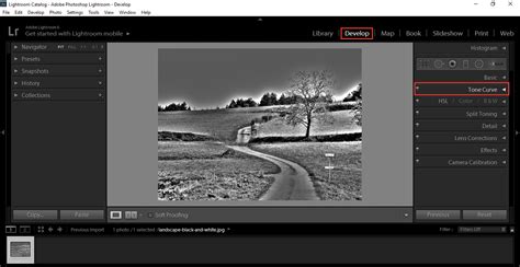 Side To Side Differences Lightroom Basic Vs Tone Curve Panel