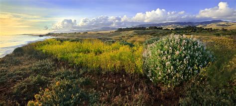 Why Cambria Is Central Coast Californias Ultimate Romantic Getaway A Global Lifestyle