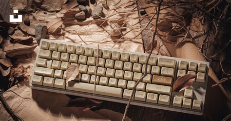 나뭇잎 더미 위에 놓인 컴퓨터 키보드 사진 Unsplash의 무료 Pc 게임 설정 이미지