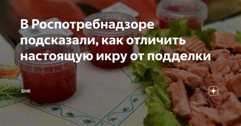 В Роспотребнадзоре подсказали как отличить настоящую икру от подделки БНК Дзен