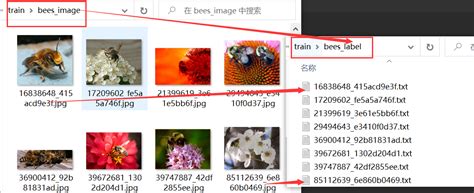 将单个训练数据集文件拆分为：image文件和label文件（pytorch学习蚂蚁蜜蜂数据集）怎么把bio标注数据集的文字和标签分成两个