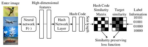 The Basic Framework For Deep Hashing Methods Download Scientific Diagram