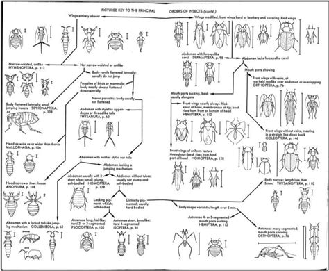 Entomology For Gardeners Osu Extension Service Worksheets Library