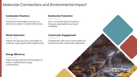 Molecular Connections And Environmental Impact Molecular Connections