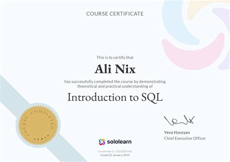 Ali Nix On Linkedin Sololearn Learn To Code