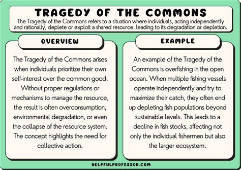Qualitative Data Examples