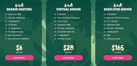 10 Best Adult Web Hosting In 2025 September Top Reviewed