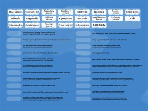Science Unit Test Match Up