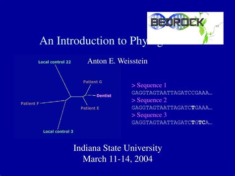 Ppt An Introduction To Phylogenetics Powerpoint Presentation Free Download Id 2977355