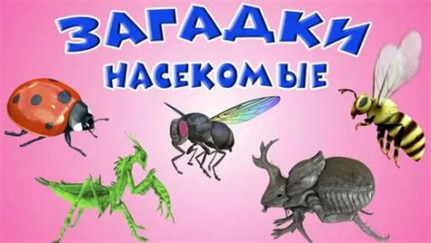 Загадки Насекомые Для детей Учим насекомых Насекомые мультик Развивающие мультики Малышковая