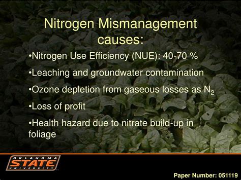 Ppt Variable Rate Nitrogen Application On Row Crop Spinach Powerpoint Presentation Id 121838