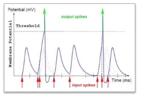 Integrator Figure 3 Coincidence Detector Download Scientific Diagram