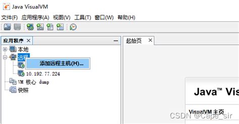 杂记十五：visualvm使用教程 csdn博客