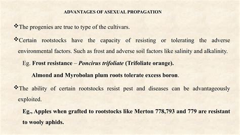 Asexual Propagation Importance Advantages And Disadvantages Of Asexual Propagation And Its