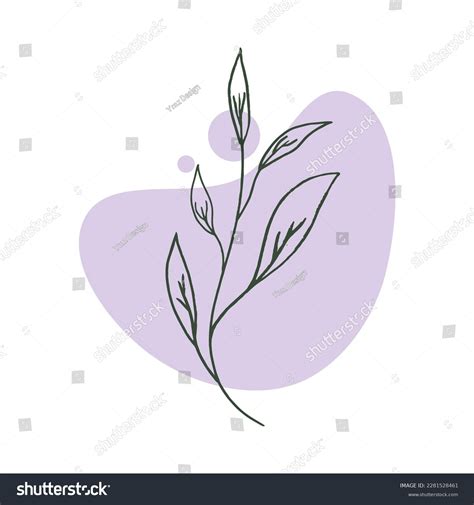 Leaf Blob Over Royalty Free Licensable Stock Illustrations