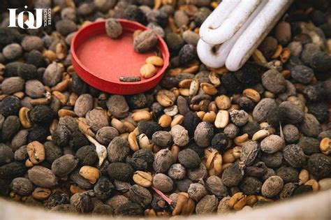 The Common Coffee Bean Defects Defects In Coffee 7 Common Defects