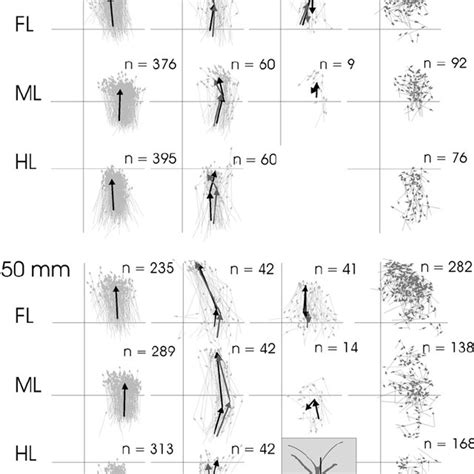Overlapping Of Simultaneous Swing Movements Of Intra Segmental Legs Download Table