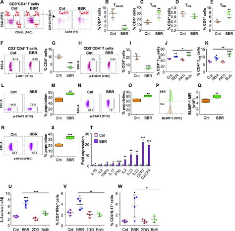 Bbr Induces Expansion Of Antigen Specific Memory T Cells By Targeting