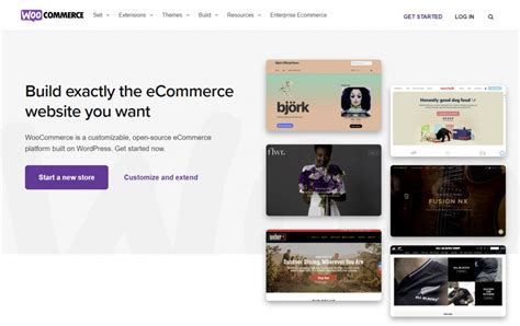 Top 9 Wordpress Ecommerce Plugins For Your Online Store 2025