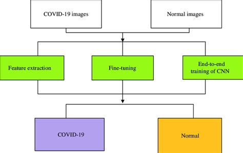 Illustration Of The Proposed Methodology For COVID Detection