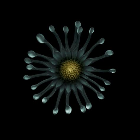 Itachi Uchiha Design Tshirt Behance