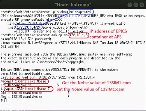 Remote Configuration Of Simulated Areadetector Ioc Running On Epics