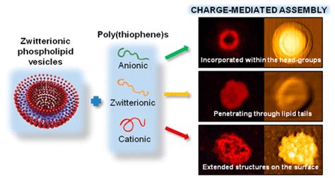 Langmuir Vol 32 No 32 Acs Publications