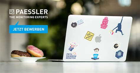 Job Opportunity Backend Software Developer Delphi Go All Genders At Paessler International