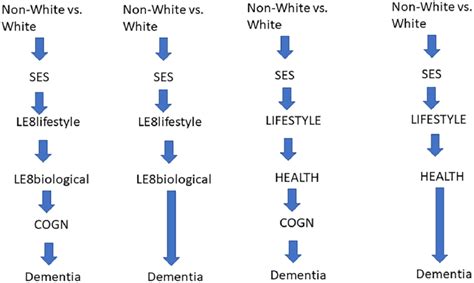 Conceptual Framework Abbreviations Alcohol Alcohol Consumption Download Scientific Diagram