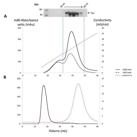 Scheme Of The Main Steps For Nmr Sample Preparation Nmr Spectroscopy