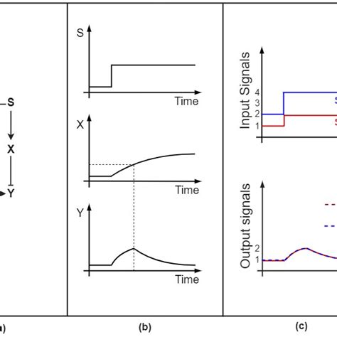 representation of the incoherent type 1 feedforward loop i1 ffl and