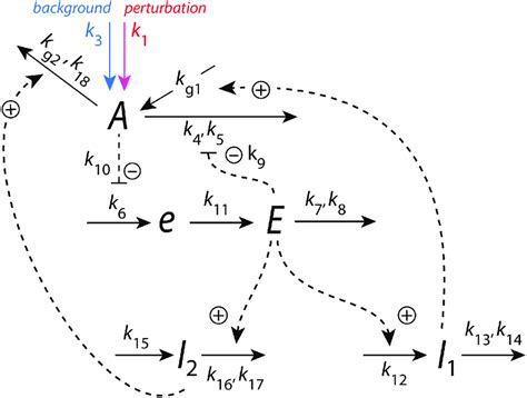 Frequency Compensated Oscillator With Background Compensation By Download Scientific Diagram