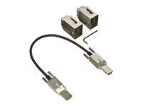 Cisco StackWise Stacking Upgrade Kit Network Stacking Module