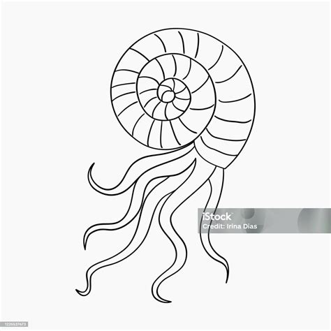 조개 껍질 손으로 그려진 낙서 윤곽에 문어 아이콘 로고 엽서 색칠 공부 책에 대한 바다의 수중 주민 갑각류에 대한 스톡 벡터 아트 및 기타 이미지 Istock