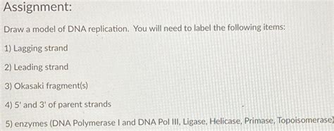 Solved Assignment Draw A Model Of DNA Replication You Will Chegg