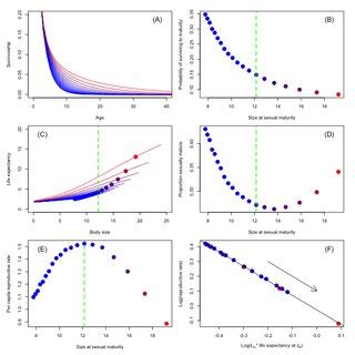 Model Dynamics For The Density Dependent Reproduction Scenario A Download Scientific Diagram