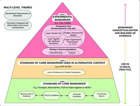 A Hierarchal Model Of Biomarkers That Guides Oncologists Treatment