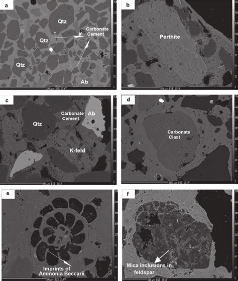 Bse Image Of A Poorly Sorted Subangular To Subrounded Sandstone B