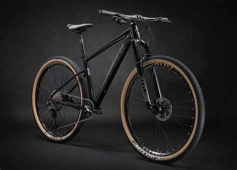 Sunpeed Ace 29 MTB (Free Delivery), Sports Equipment, Bicycles & Parts ...