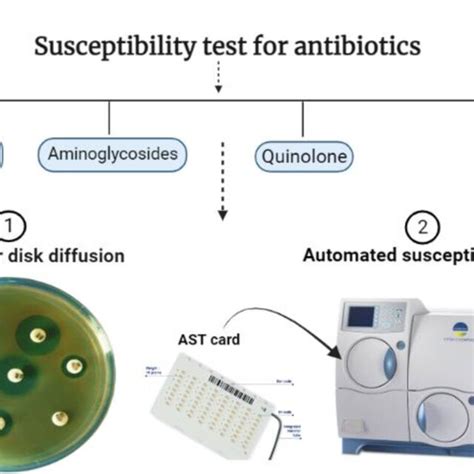 Schematic Diagram Illustrating Susceptibility Test Methods Download Scientific Diagram