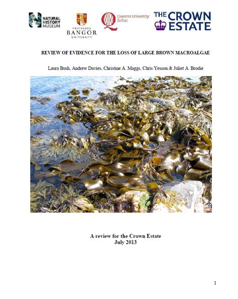 Review Of Evidence For The Loss Of Large Brown Macroalgae Macroalgal