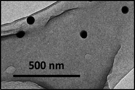 Selenium Nanoparticles 200 Mgl Analysis Through The Transmission