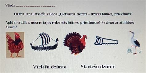 Latviešu Valoda 1klasei15lietvārda Dzimtebūtnes Lietas Mācību