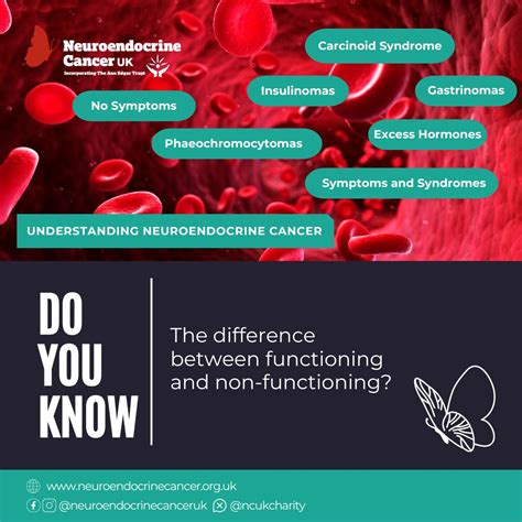 Neuroendocrine Cancer Uk On Linkedin Db59ebnh