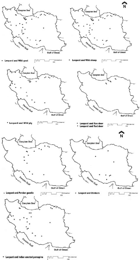 Distribution Of Prey Species Within 43 Leopard Distribution Protected
