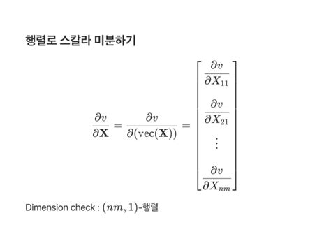 Matrix Calculus Pdf Programming Languages Computing