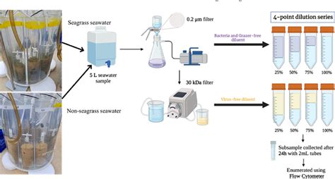 Figure 1 From Investigation Of The Growth And Mortality Of Bacteria And Synechococcus Spp In