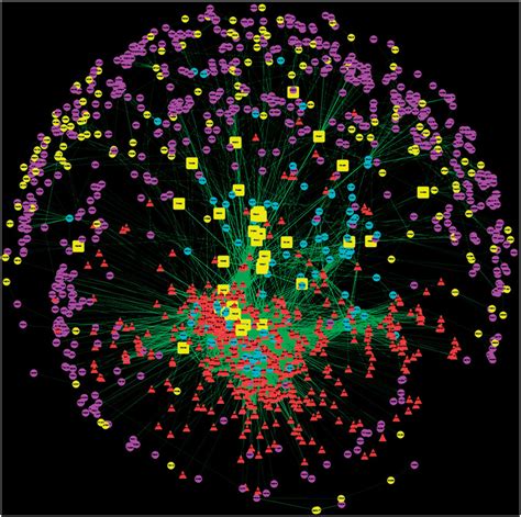Component Target Disease Interaction Network Of Lhqw Against