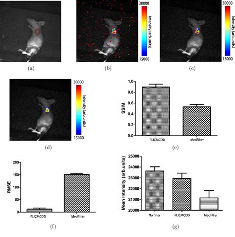 Figure 5 From A Novel Denoising Framework For Cerenkov Luminescence